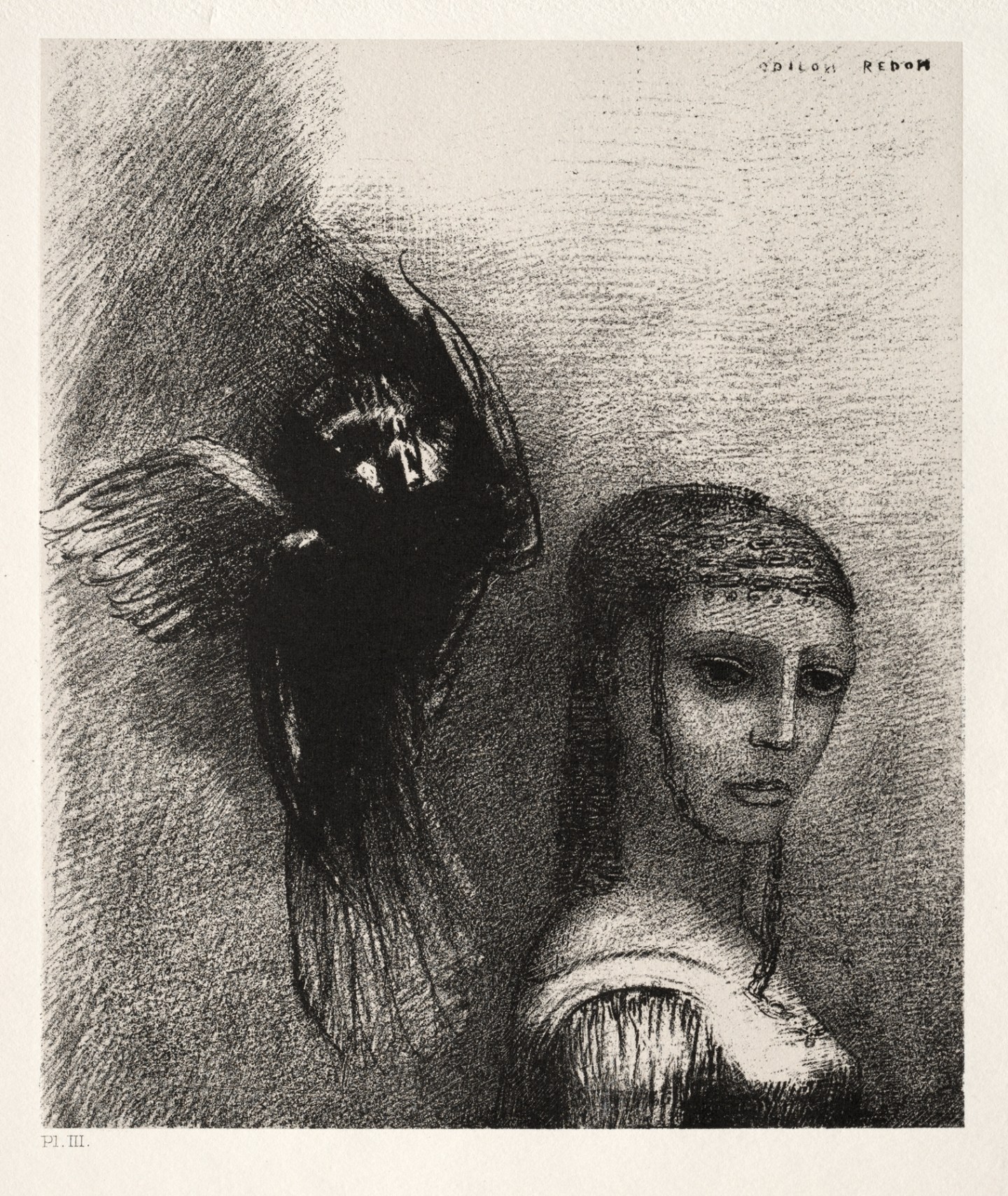 Poem – “Watchful Bird” – 6/17/2026 – Modern Romanticism